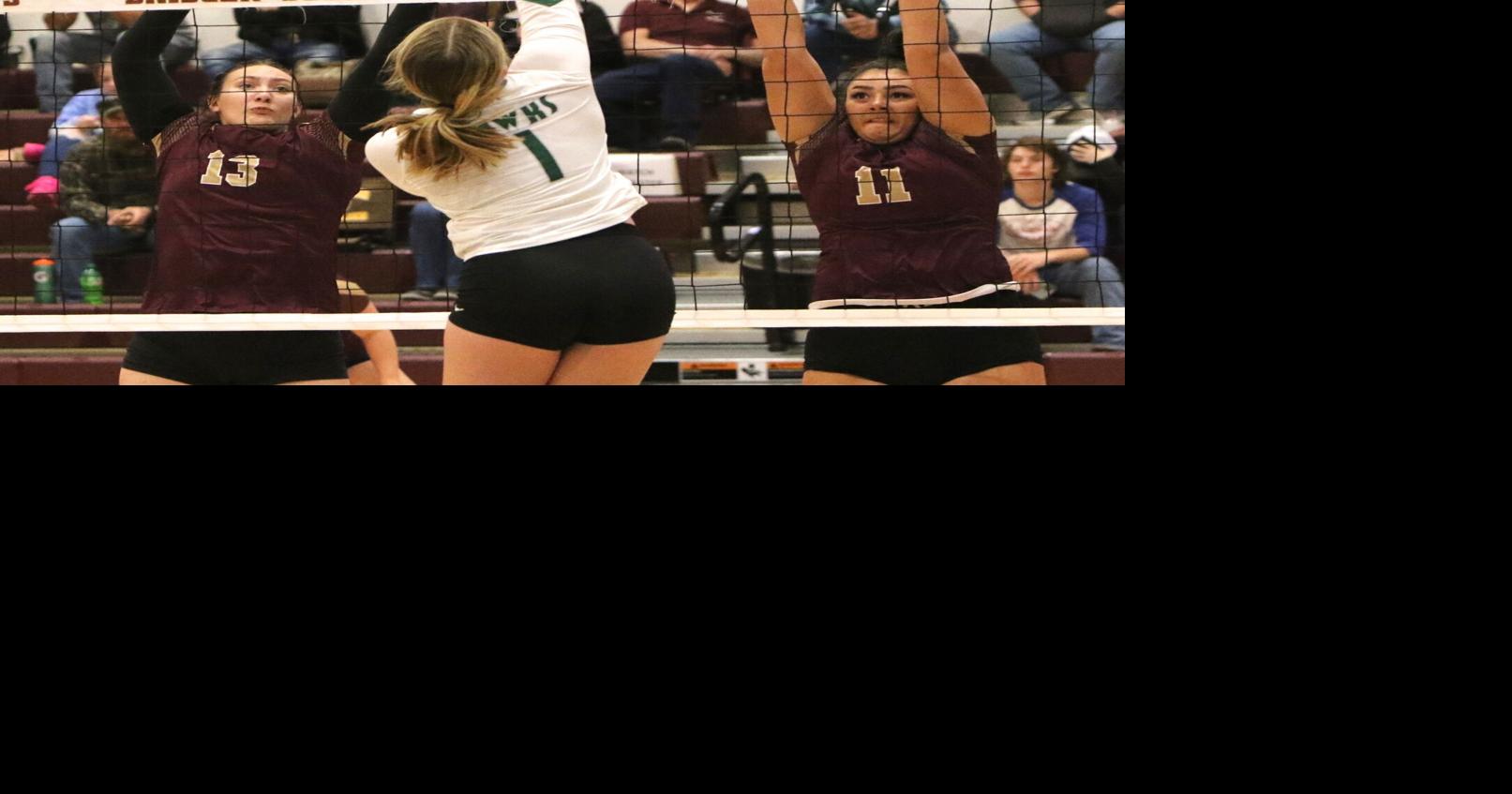 Lady Scouts shine at tournament | Sports | carboncountynews.com