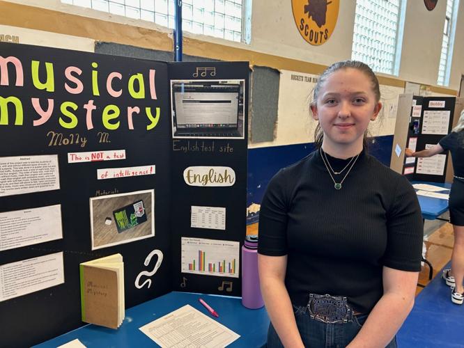 Bright minds and ideas at Roberts Science Fair | News ...