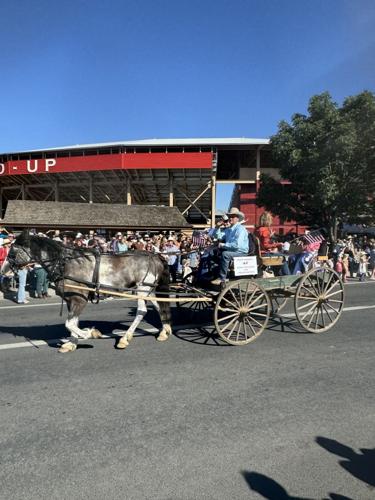 Joliet's Sankey Pro Rodeo selected as grand marshal for Pendleton Round ...