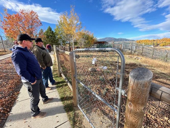 YWS break ground for new bobcat enclosure | | carboncountynews.com