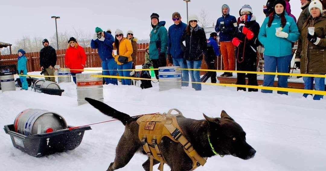 Keg Race: Laughs and Love | News | carboncountynews.com