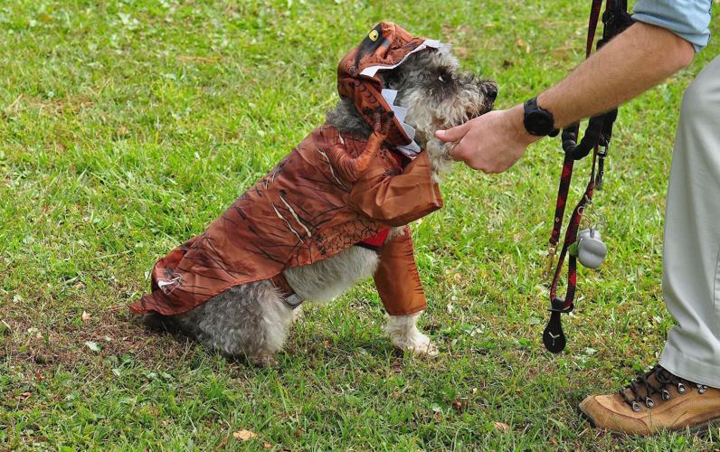 Barktoberfest brings canine fun to Rotary Dog Park | News ...