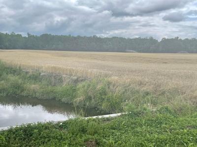 Coastal Carolina Riverwatch starts project to analyze bacteria counts ...
