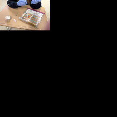 Middle school students study DNA extraction | News ...