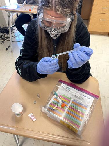 Middle school students study DNA extraction | News ...