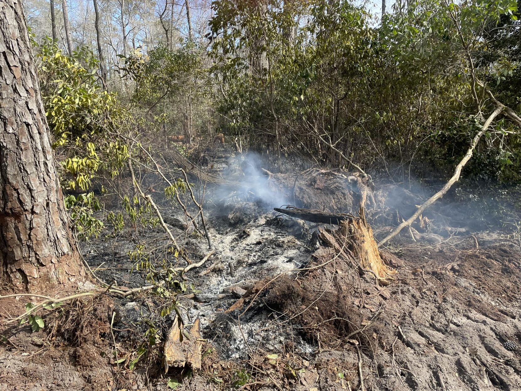 Newport area wildfire 100% contained, still smoldering | News ...