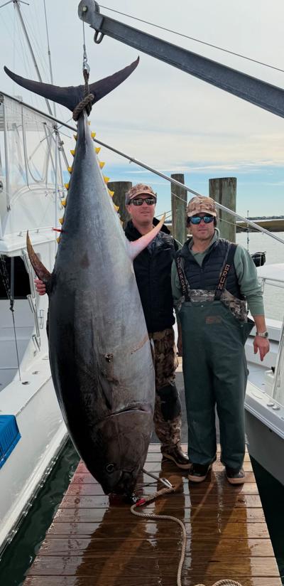 Winter waters bring Atlantic Bluefin Tuna boom to local pair | News ...