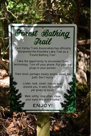 'Forest Bathing' trail in NC invites people to nature | Regional ...