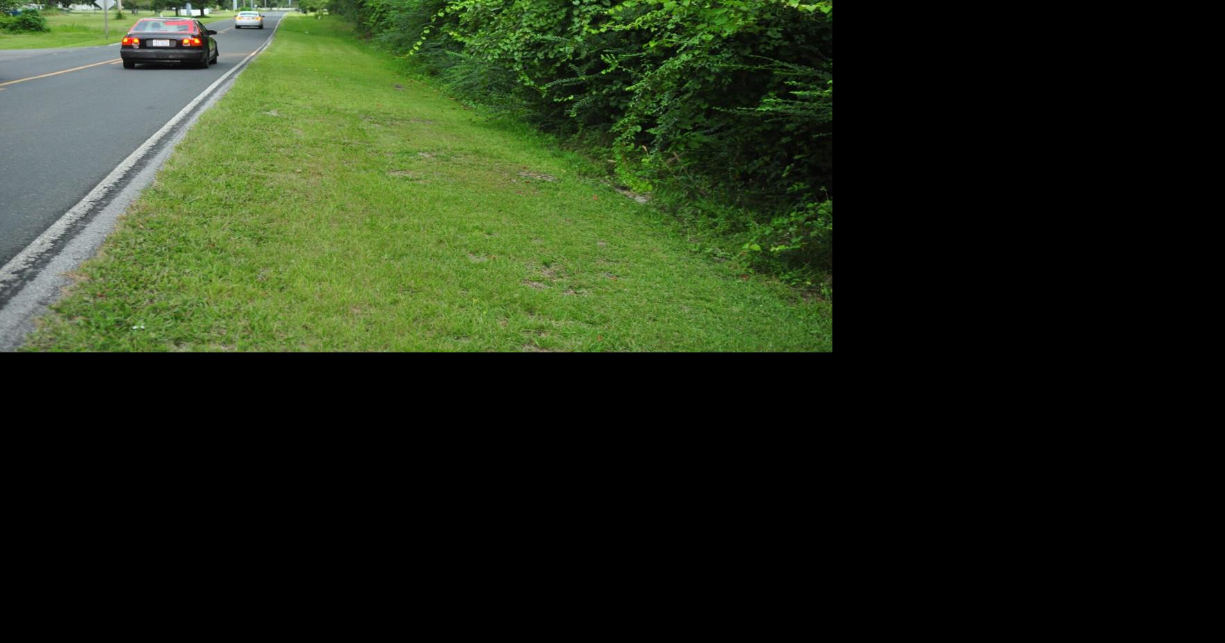 Bogue Town Council approves applying for grant for town park | News ...