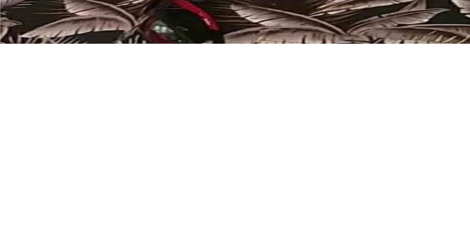 Phillip Heckerson Sr., 81; service later | Obituaries ...