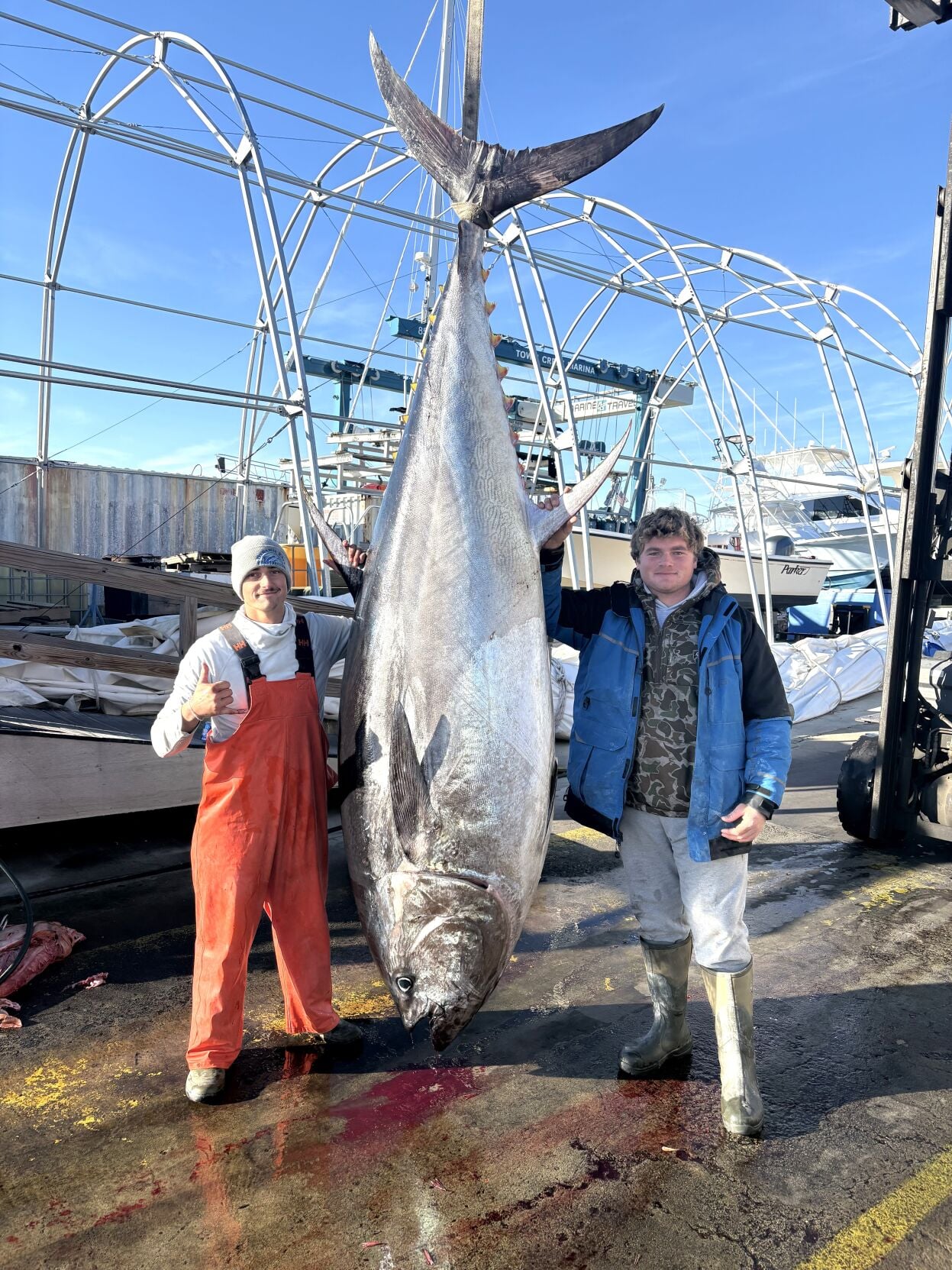 Small boat, big fish: friends land giant bluefin in tiny skiff | Sports ...