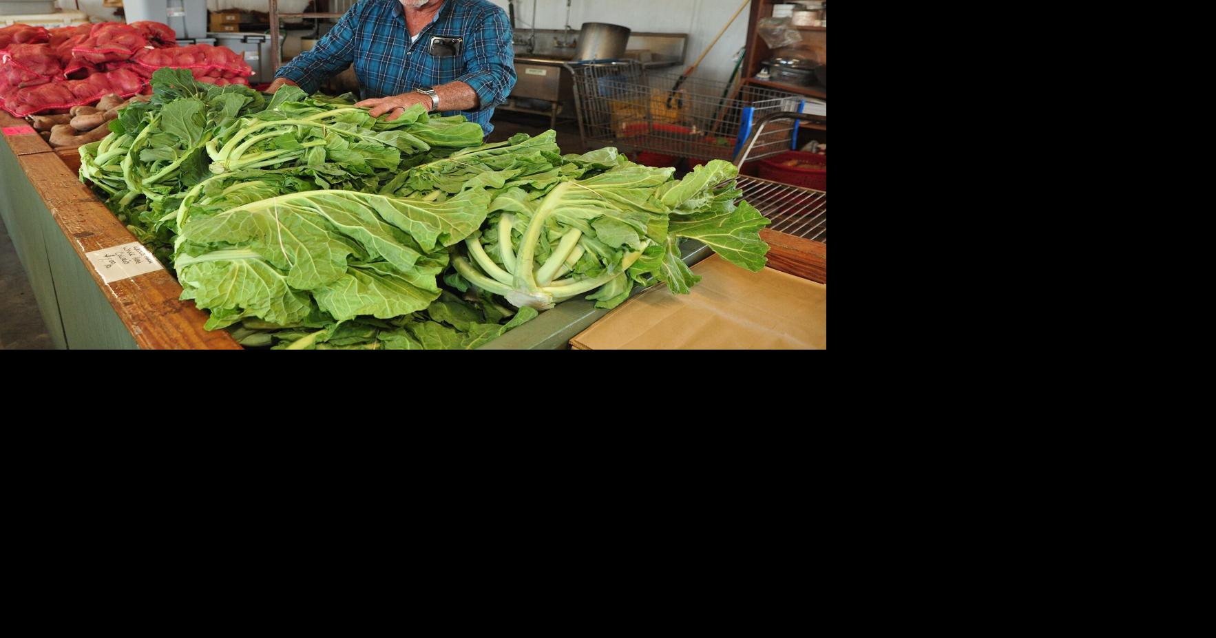 Farmers report bumper crop of collards ready for New Year’s Day | News ...