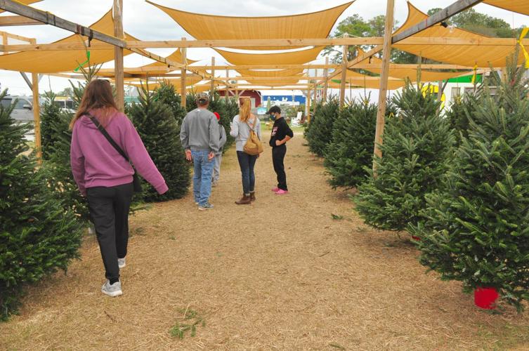 Christmas tree lots up and running for 2020 holiday season | News ...
