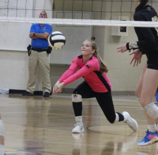 Cougars fall to Person in first round of volleyball playoffs | Sports ...