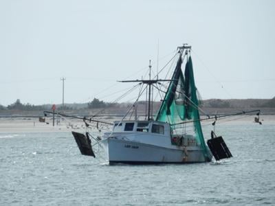 CARES Act provides more than $5M for NC commercial fishing industry ...