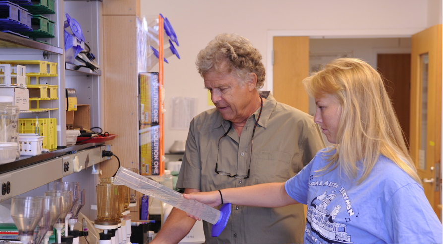 UNC-IMS faculty share experiences, hopes for the future as institute ...