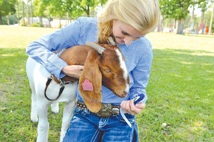Carolina Meat Goat Showmanship Competition | Photo Galleries ...