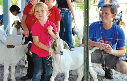 Carolina Meat Goat Showmanship Competition | Photo Galleries ...