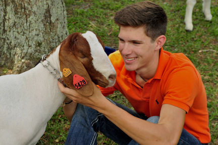 2014 Carteret County Carolina Meat Goat Showmanship Competition | Photo ...