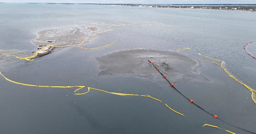 Project underway to restore bird habitat on Sandbag Island | News ...