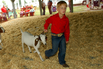 Goat Show | Photo Galleries | carolinacoastonline.com