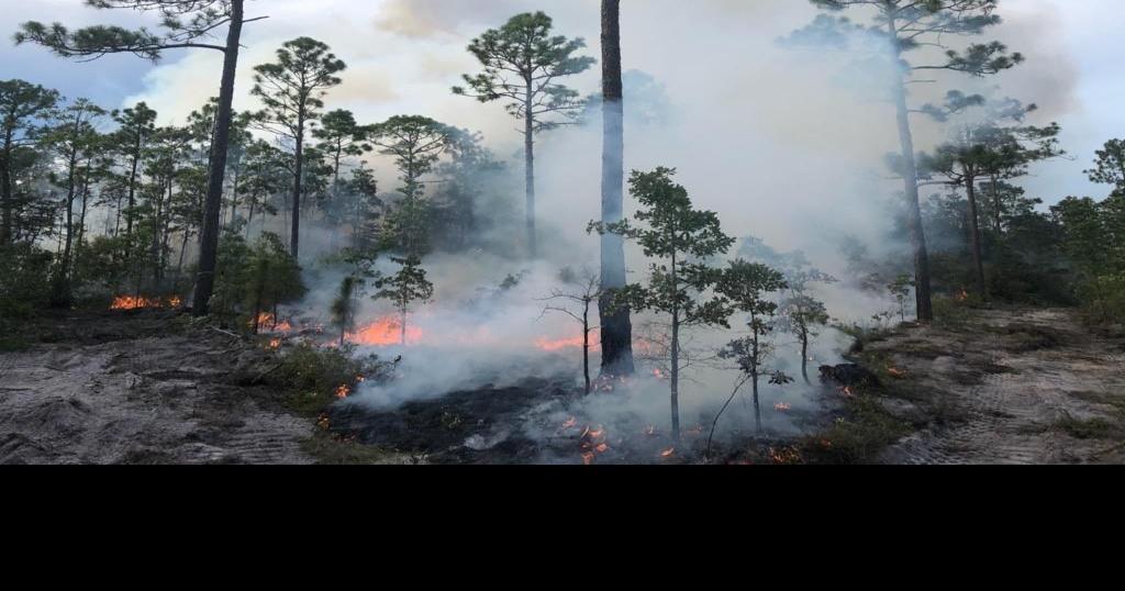 Firefighters contain Camp Sam Hatcher fire at 150 acres | News ...