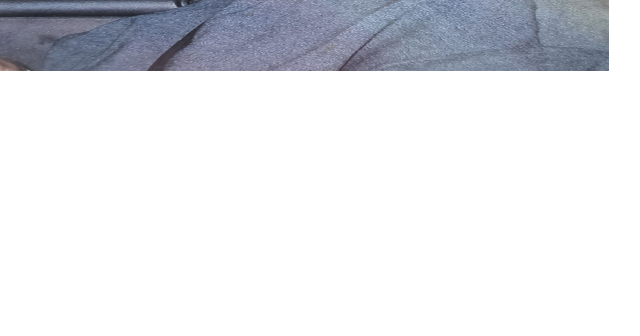 Debra Jenkins, 65; service Oct. 24 | Obituaries | carolinacoastonline.com