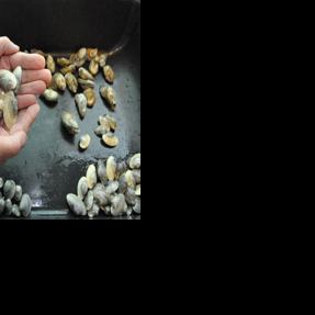 Officials unveil NC Shellfish Initiative | News | carolinacoastonline.com