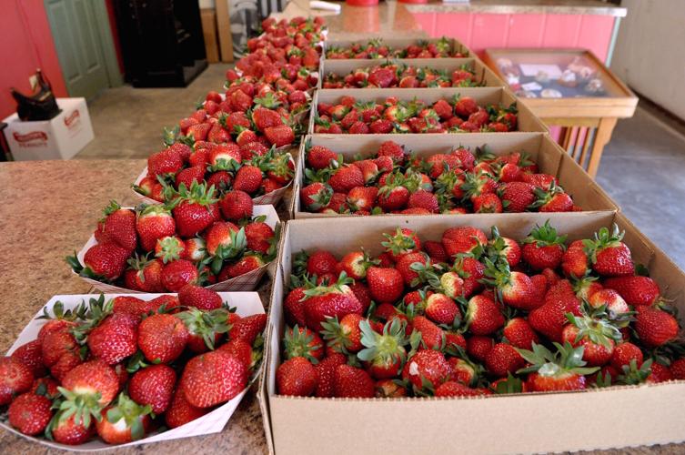 Fresh strawberries beginning to show up at county produce stands | News ...