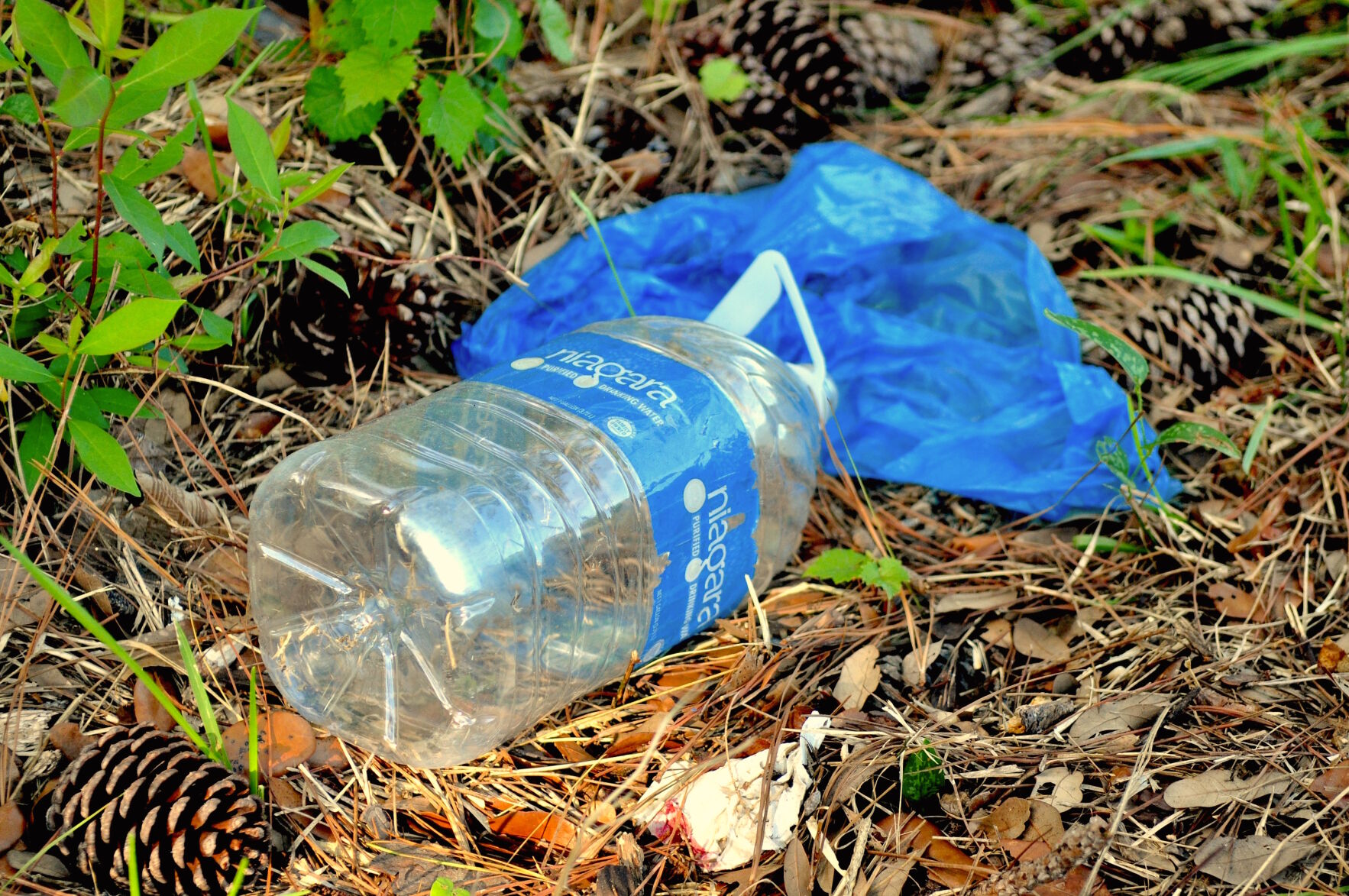 Free tarp giveaway set for Sept. 10 in effort to curb litter on ...
