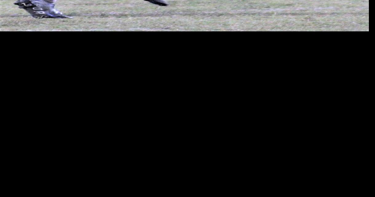 West Carteret's Callahan named News-Times Football Player of the Year ...