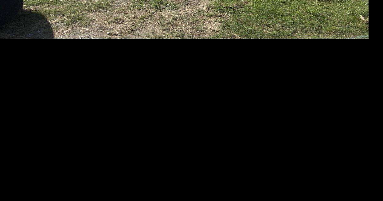 Emerald Isle bridge work to kick off next month | News ...