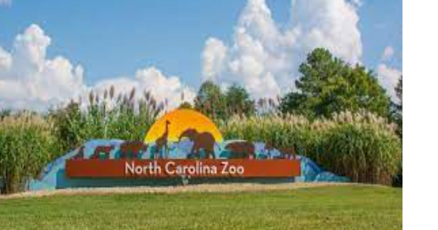 North Carolina Zoo closes aviary after report of avian flu | Regional ...