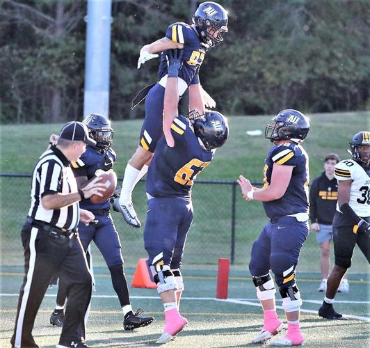 Number of former county student-athletes competing at college level ...