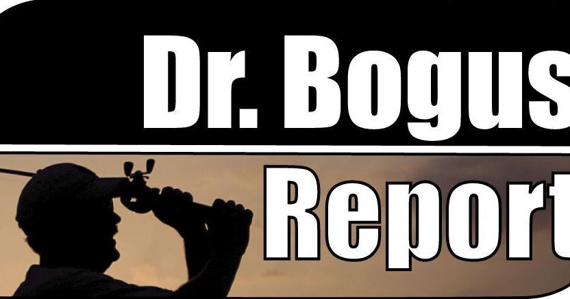 DR. BOGUS REPORT: Overlooking attention to details can be a recipe for ...