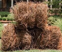 Pine straw scam hits Carteret County | News | carolinacoastonline.com