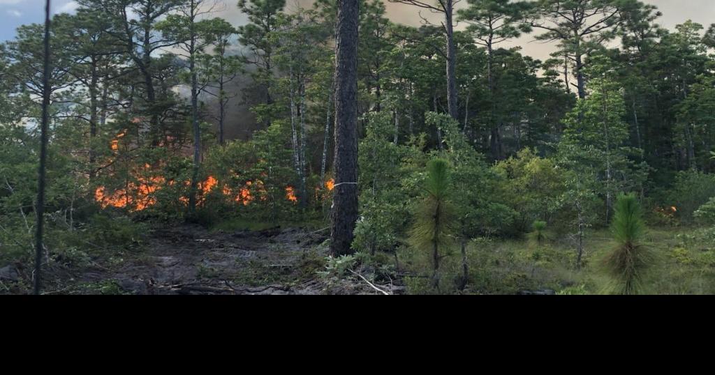 Camp Sam Hatcher fire burns close to 100 acres | News ...