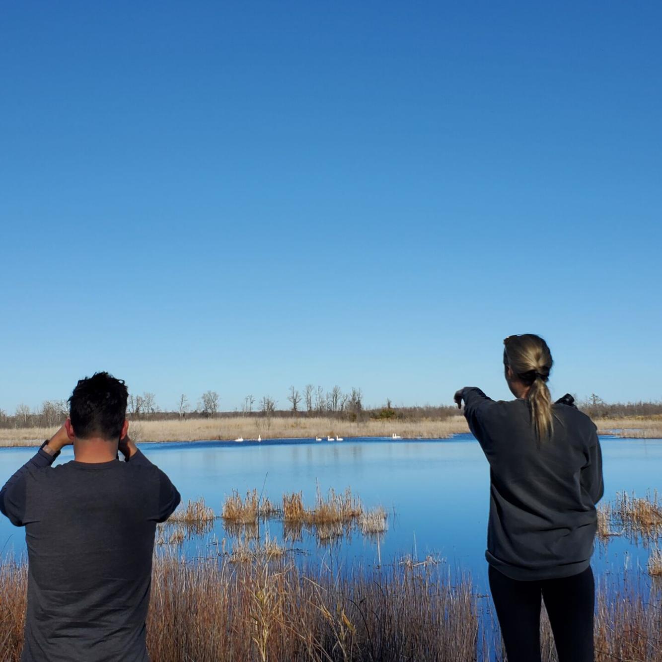 Unique excursion explores coastal culture, wintering waterfowl | News ...