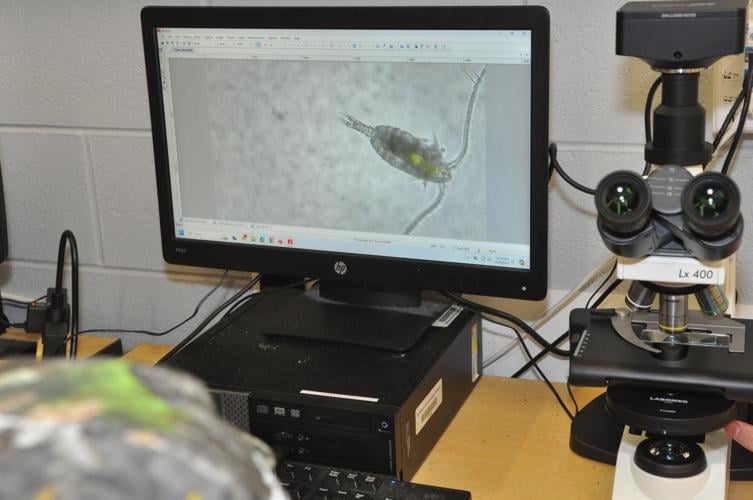 Students dive into marine science | News | carolinacoastonline.com