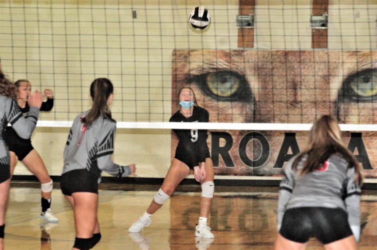 Cougar spikers rebound from loss to Rose in blanking Jacksonville 3-0 ...