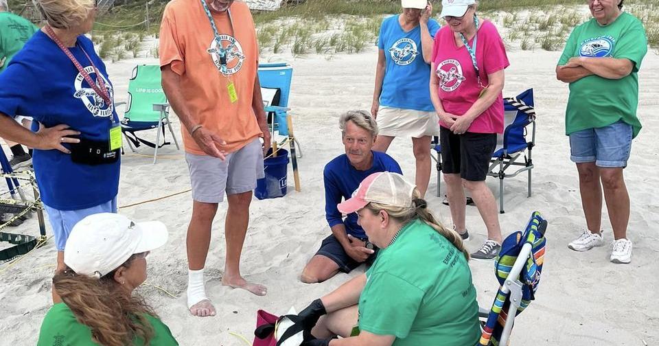 Emerald Isle Sea Turtle Patrol gets high-tech devices to listen to ...