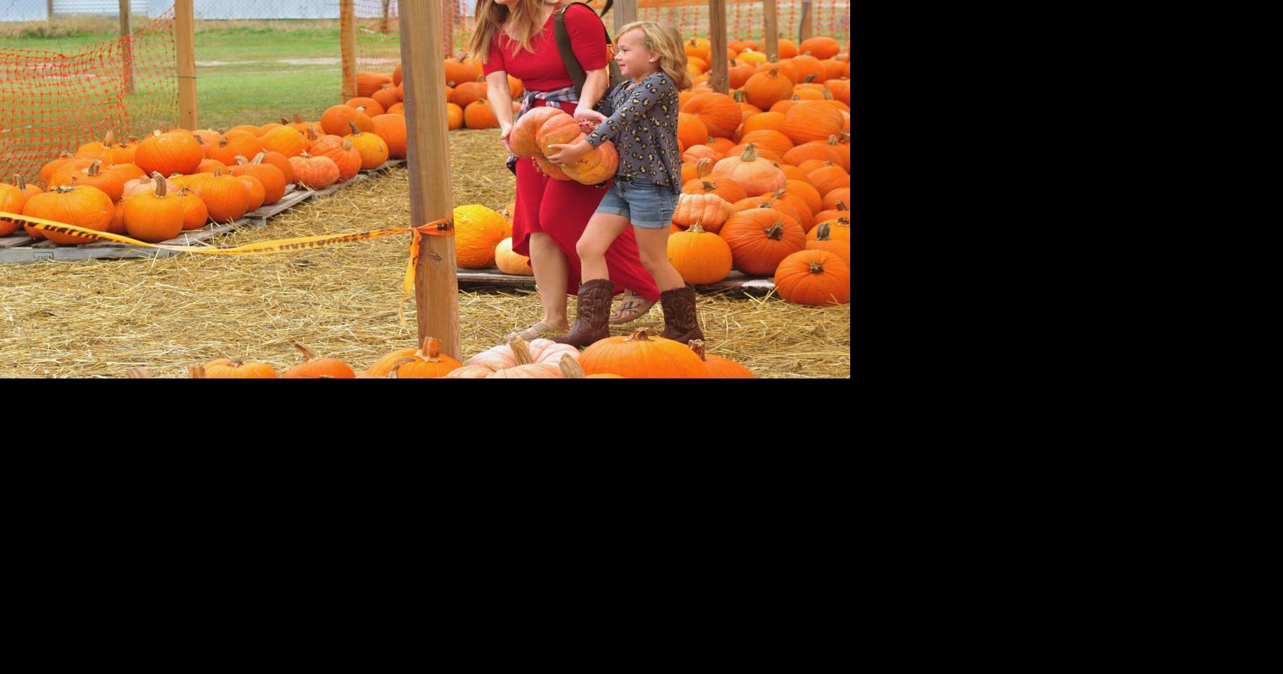 Hannah's Hope Pumpkin Patch supports good cause | News | carolinacoastonline.com