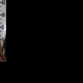 SBI releases name of woman killed by Onslow County deputy | Regional ...