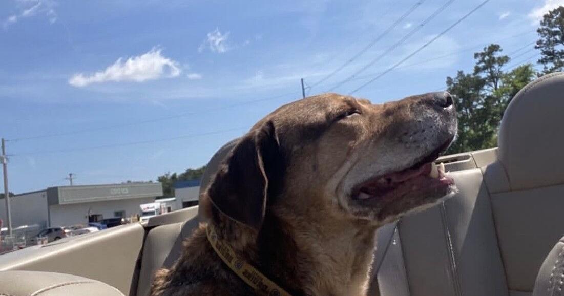 Sheriff Buck offers safety tips for Memorial Day weekend, summer season ...