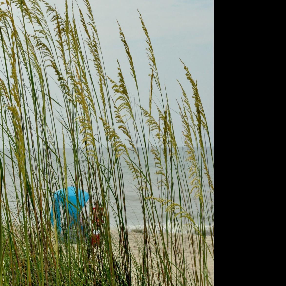 Harkers Island history focus of new oral project | Food And Drink ...