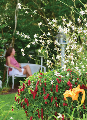 Quiet spot | | carolinacoastonline.com