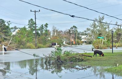 County, towns await FEMA money | News | carolinacoastonline.com