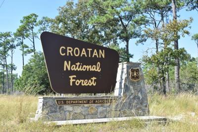 Controlled burns planned for Croatan National Forest | News ...