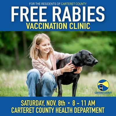 Carteret County offers free drive-thru rabies vaccinations for pets ...