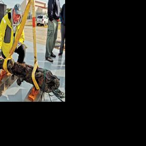 Cannon-raising makes 23rd from QAR site | | carolinacoastonline.com